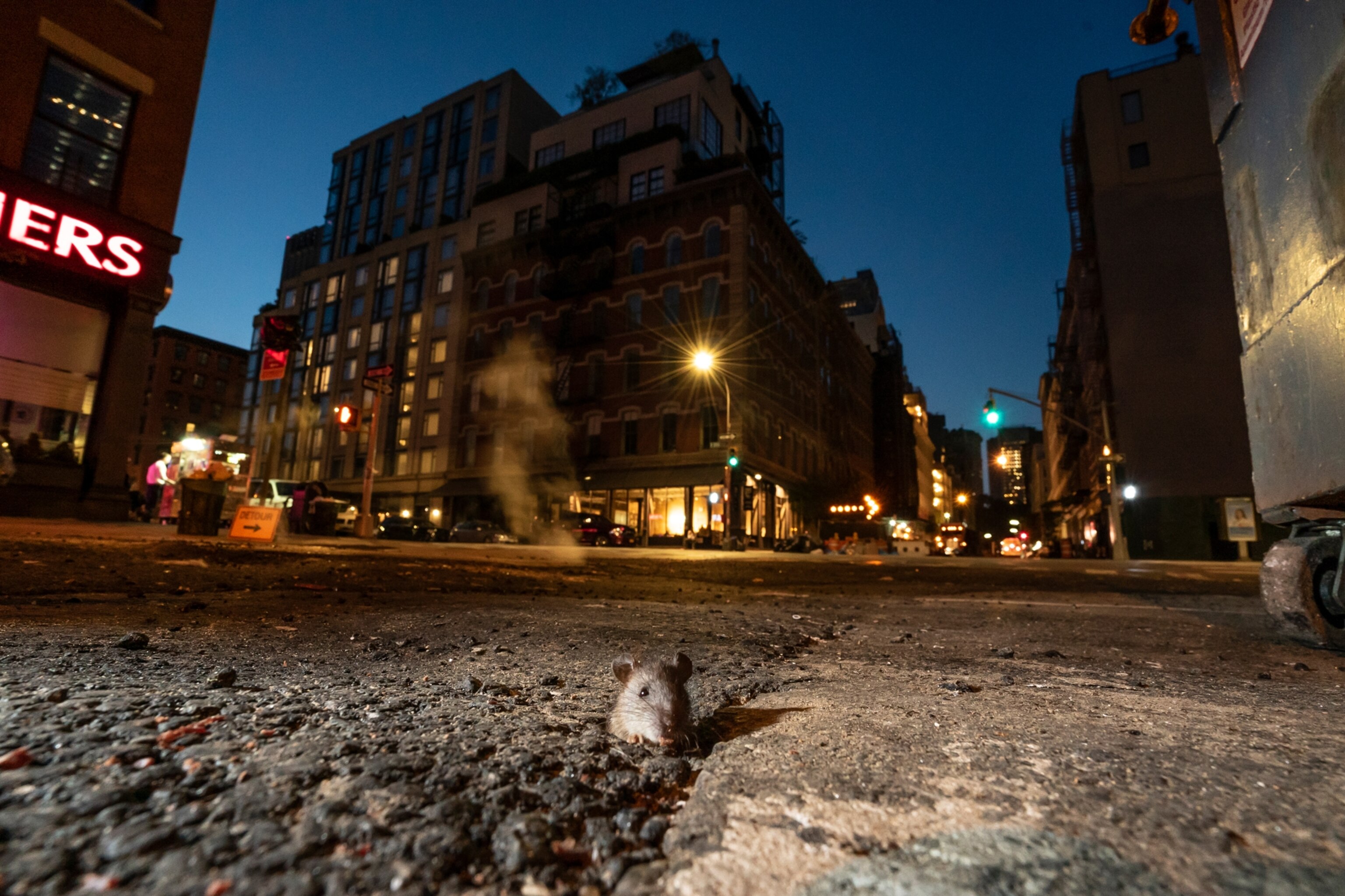 Life through the lens: Charlie Hamilton James