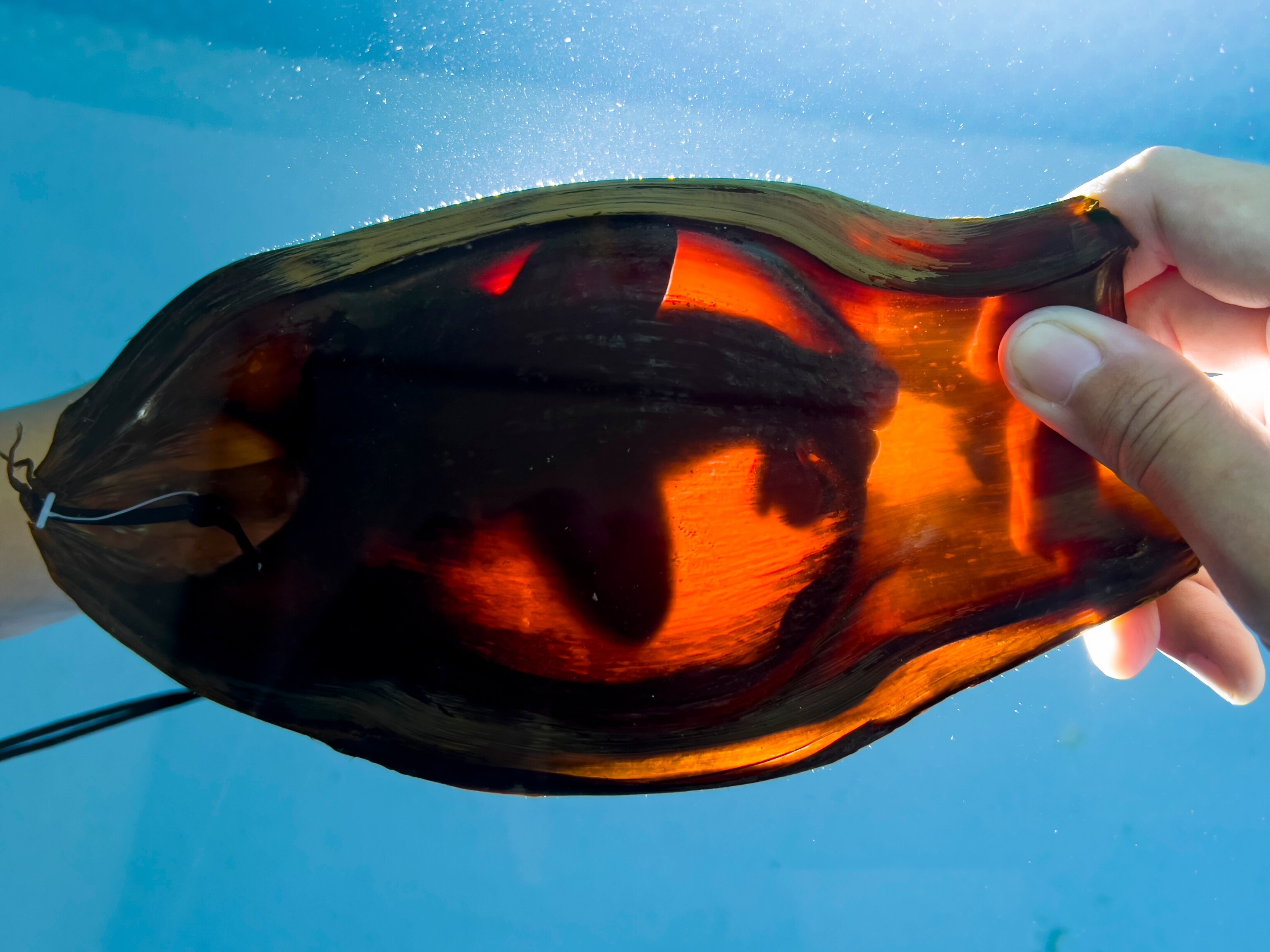 How to take photos underwater