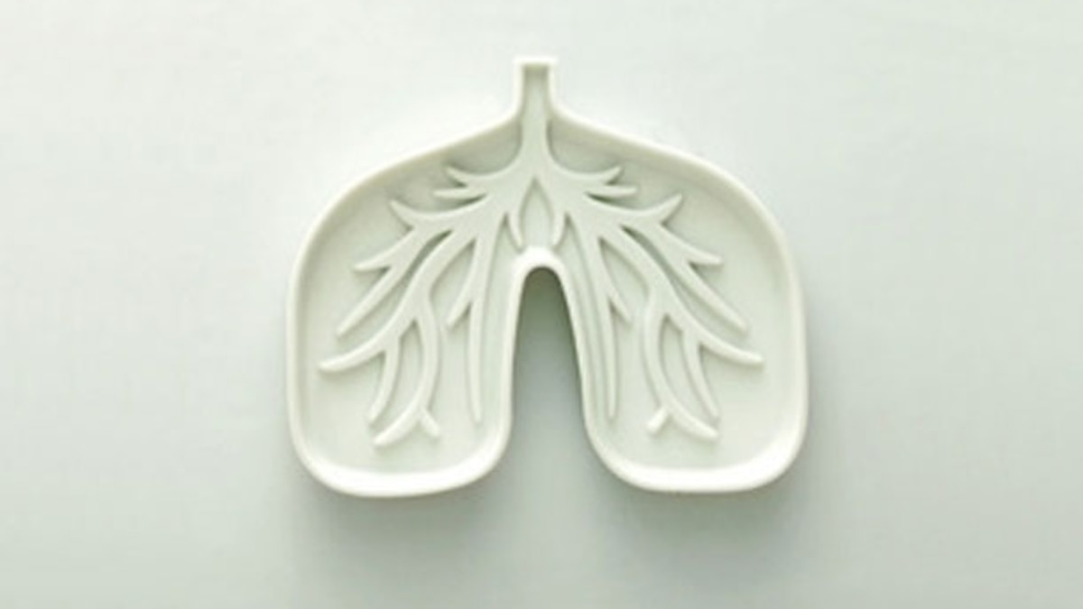 Grow new organs, or get them from animals? | National Geographic