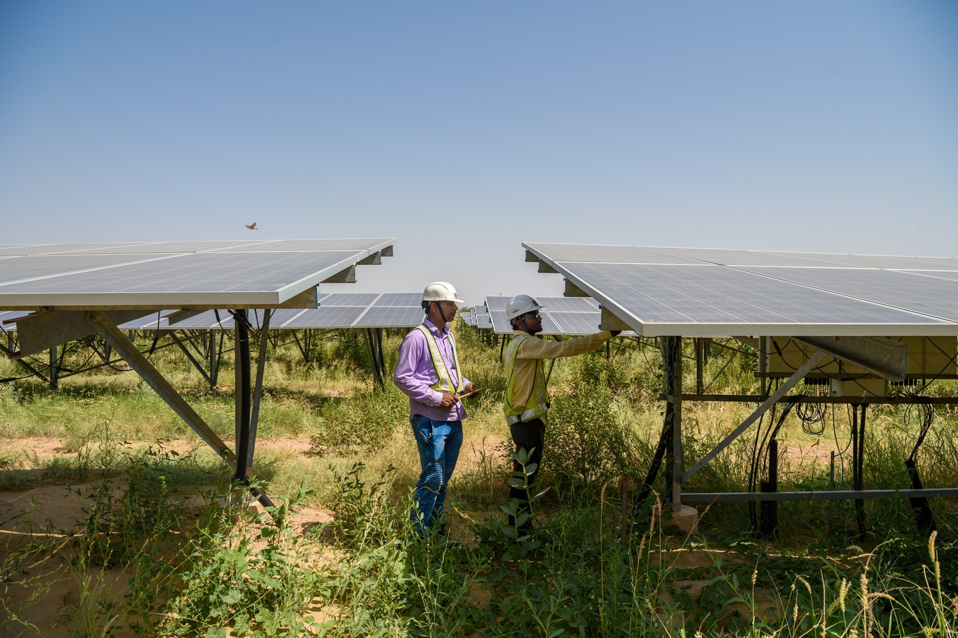 India bets its energy future on solar—in ways both small and big