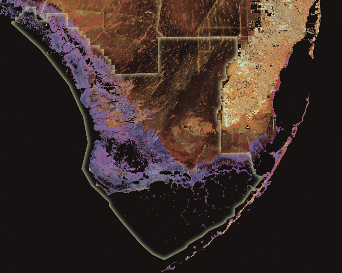 Everglades Face City to the East, Salt Water From the West