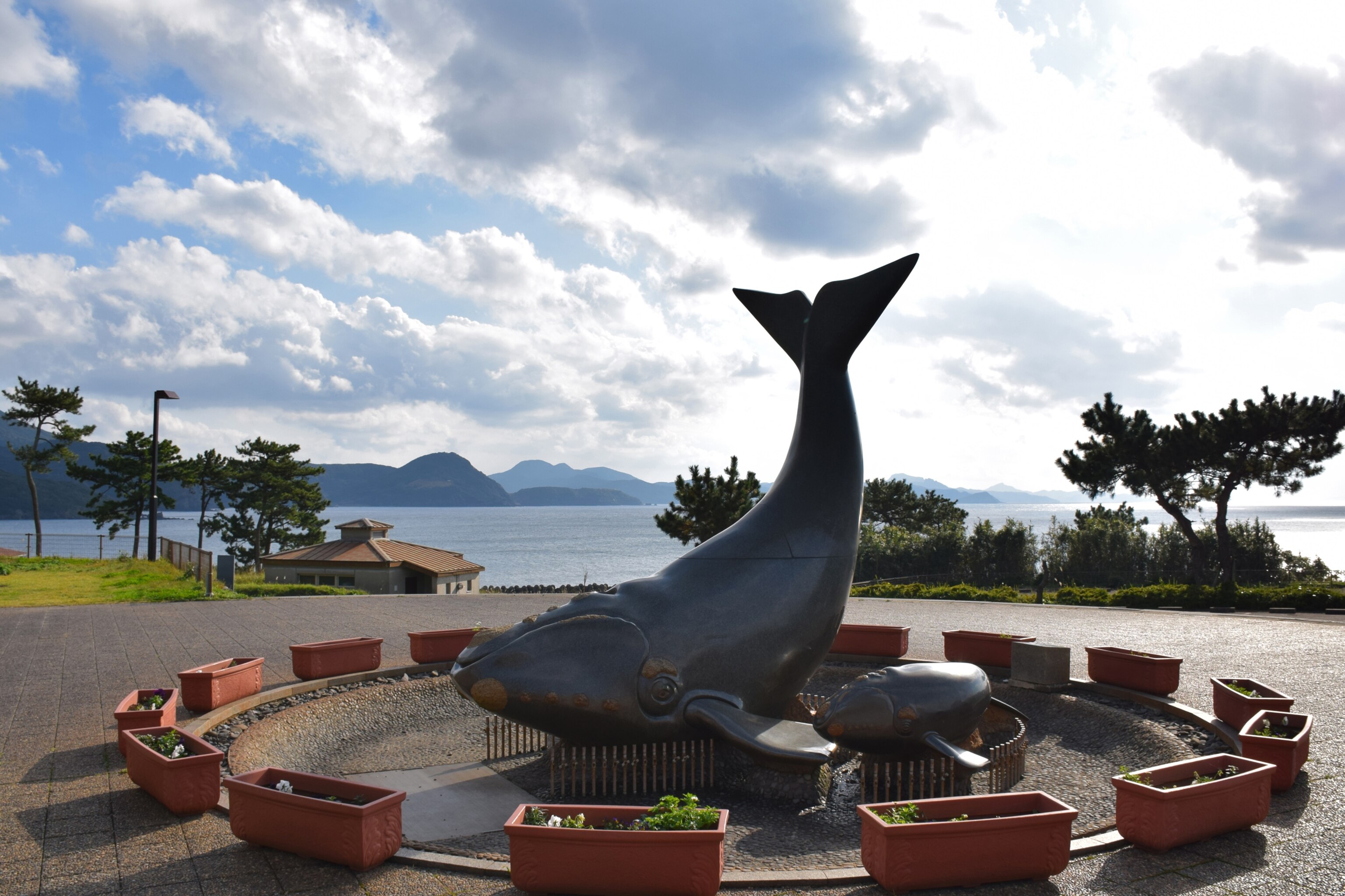 Why Whaling Persists in Japan, Despite International Pressure