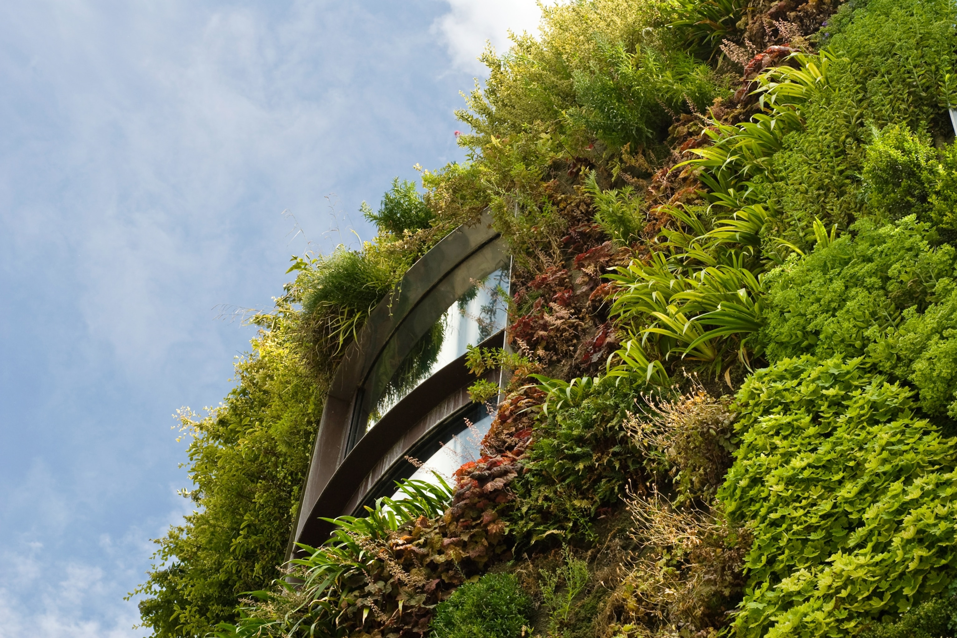 Pictures: Green Walls May Cut Pollution in Cities