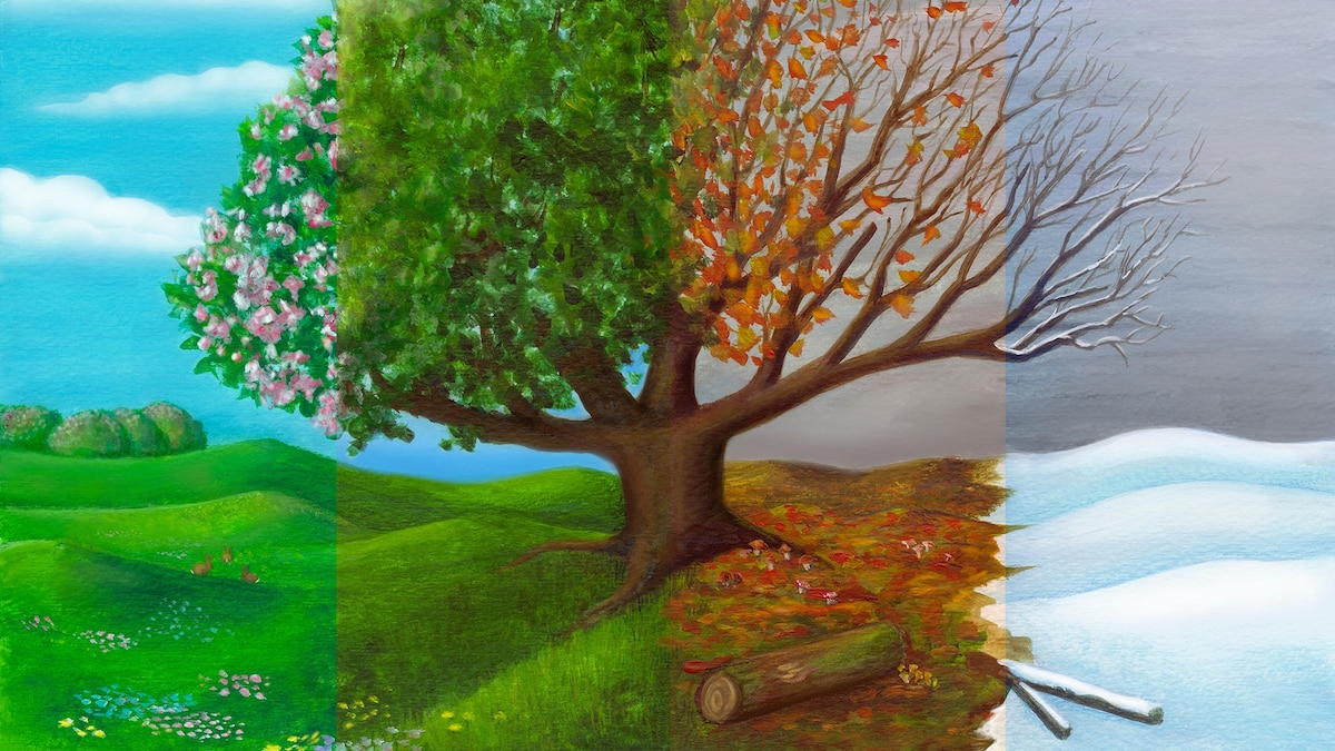 The Earth Has Lungs. Watch Them Breathe. | National Geographic