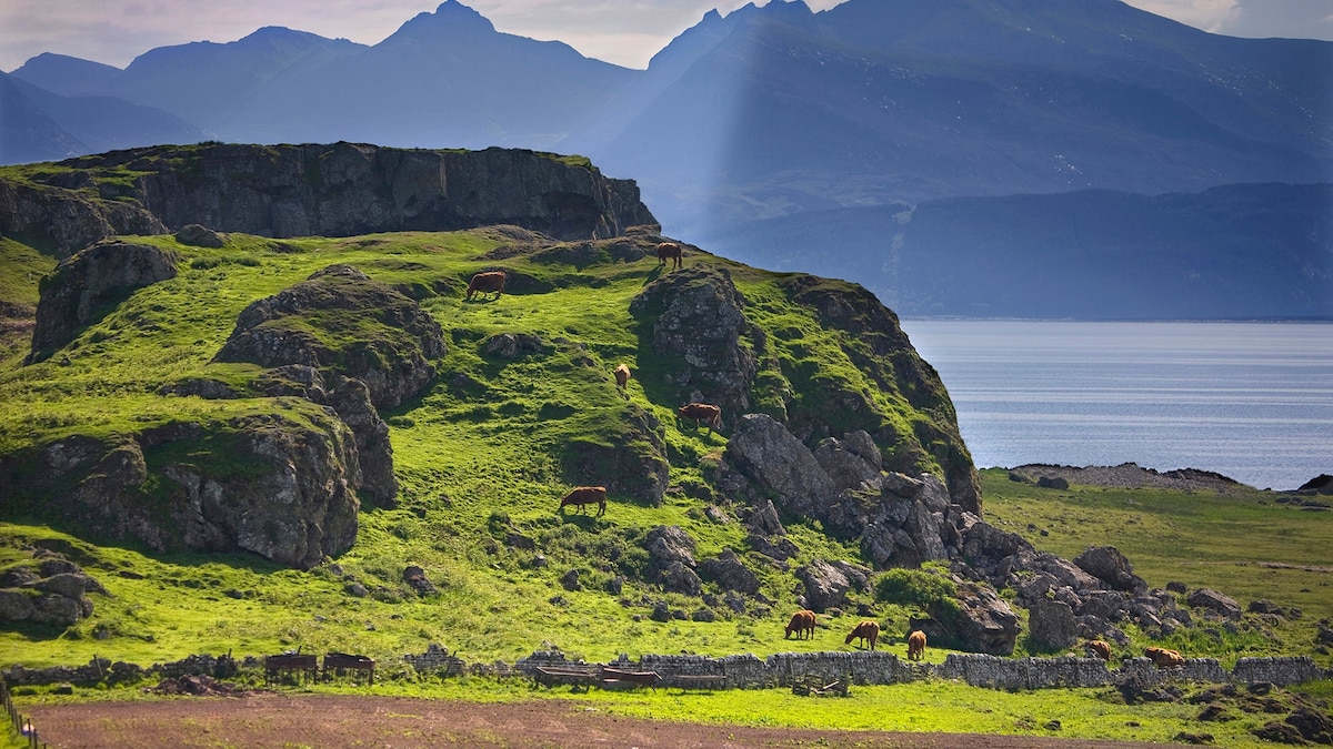 Want to Build a Strong Fortress? Set It On Fire | National Geographic