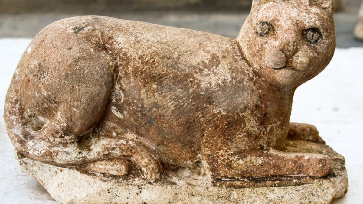 Photos: Queen's Cat Goddess Temple Found in Egypt | National Geographic