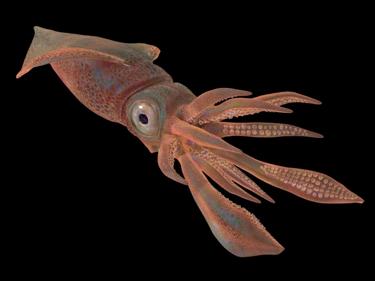 Prehistoric Sea Monster Pictures - National Geographic
