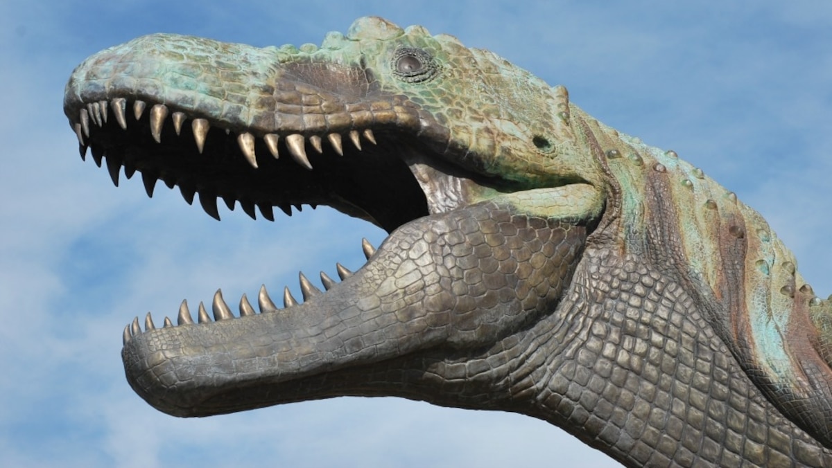 Laelaps Returns | National Geographic