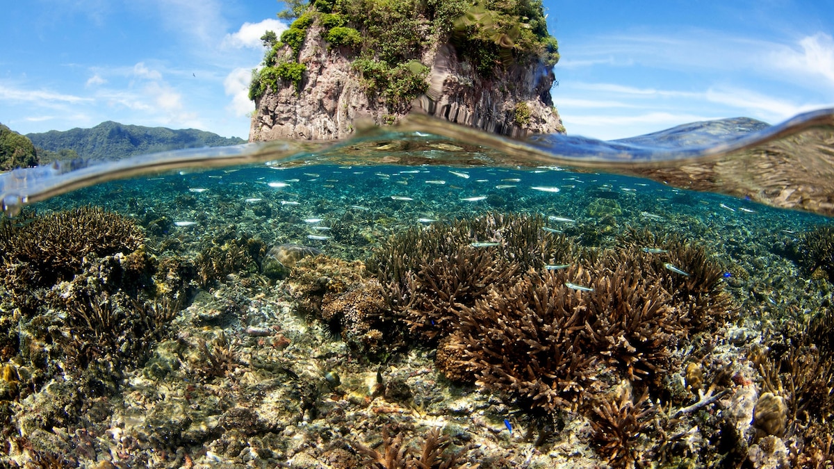 Big earthquakes might make sea level rise worse. Here's how. | National ...