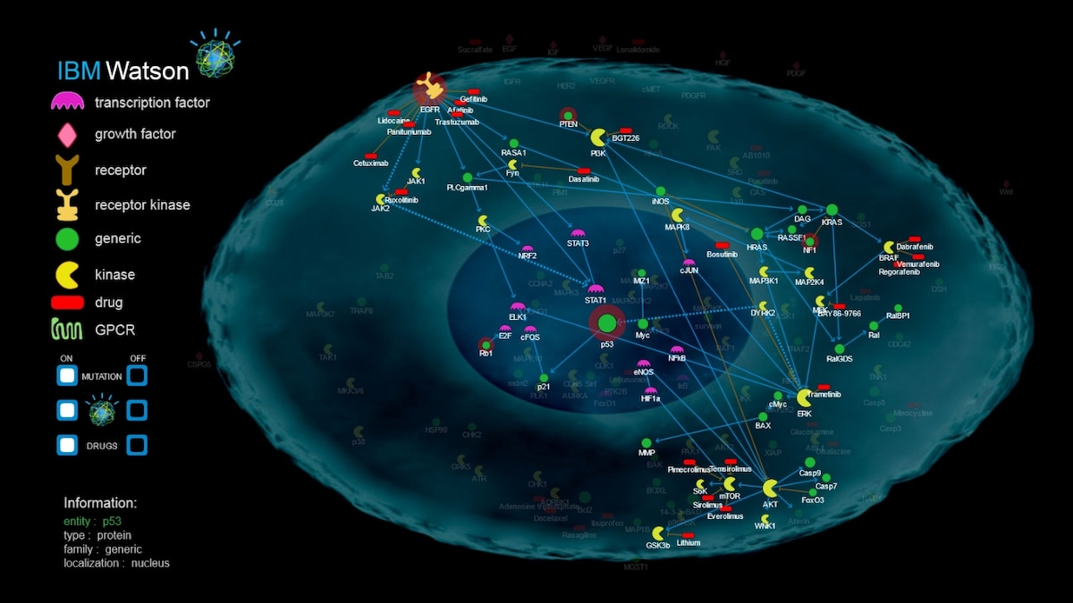 Personalized Medicine: Taming the Big Data Ocean