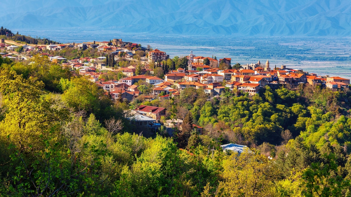 From grape to glass: discover Georgian wine and culture in Kakheti ...