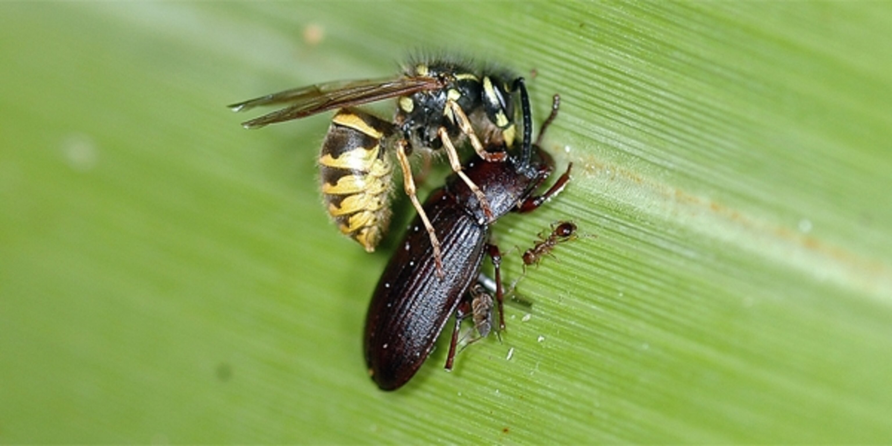 Galápagos Week: Southern Inhospitality