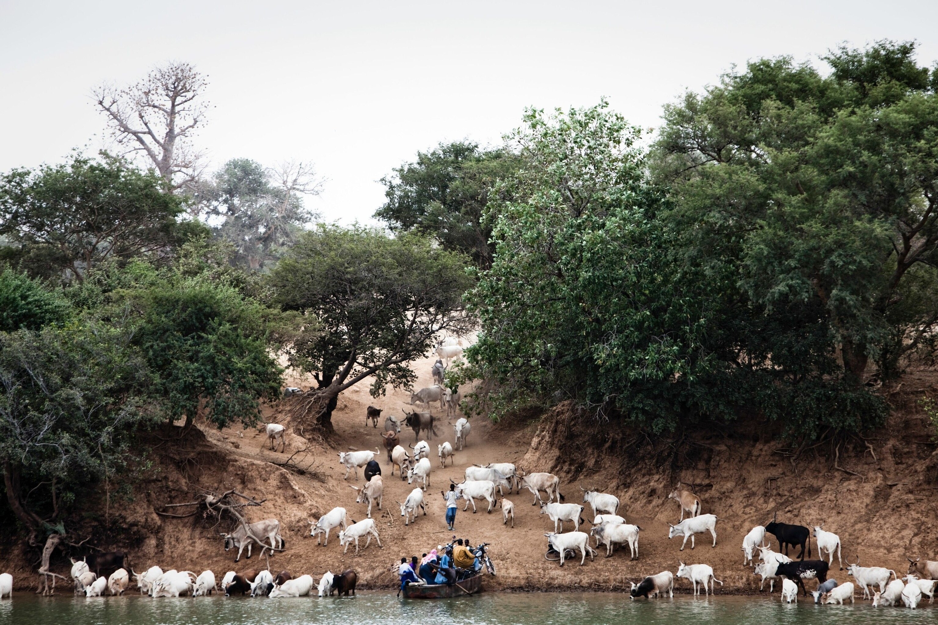 Photo story: from cockle farmers to chieftains, portraits of life on ...