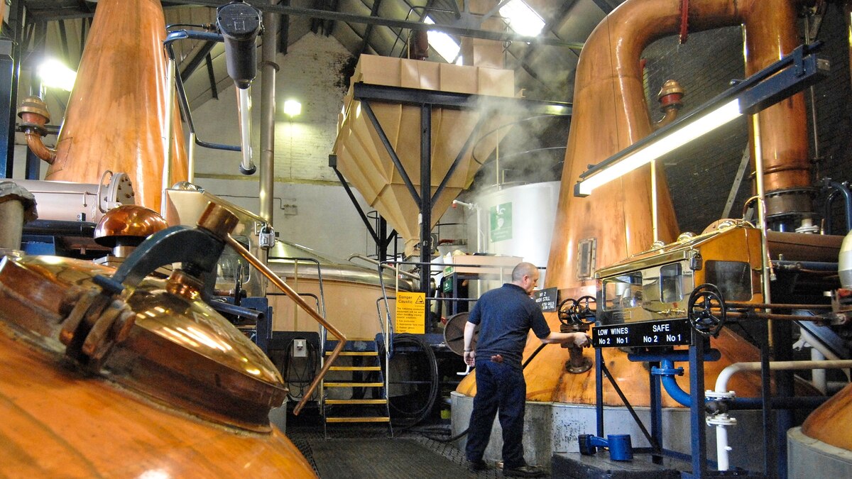 Whisky a Go Go: Can Scotland’s Distillery Waste Boost Biofuels ...