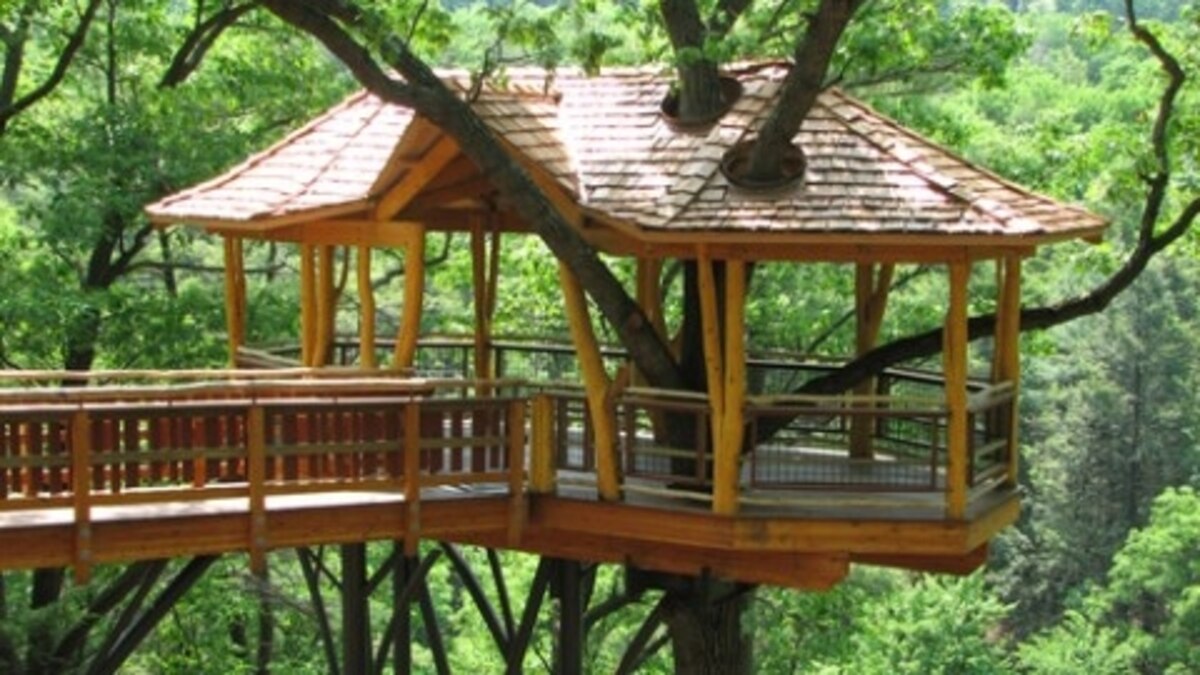 Tree Houses Grow Up | National Geographic