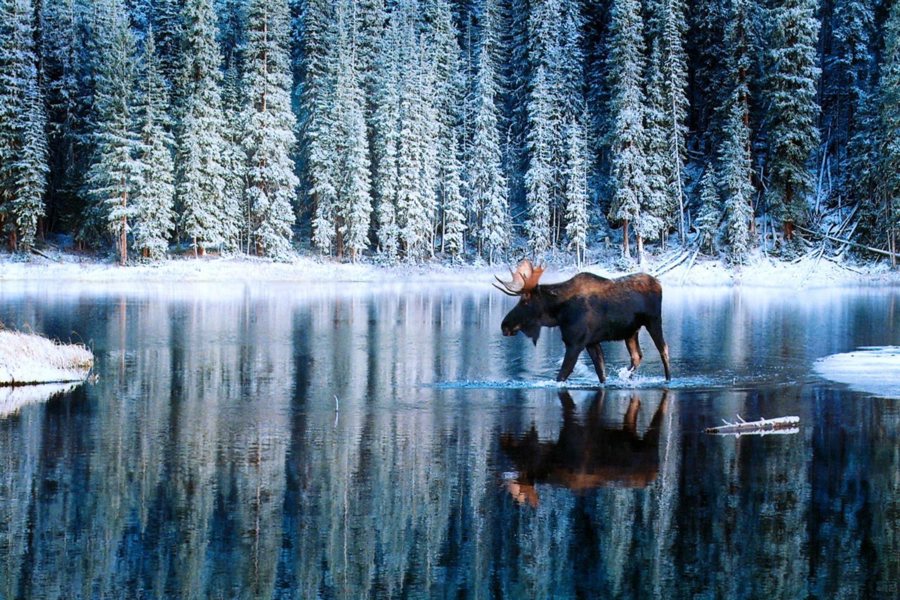 Your Shot Snow Photos -- National Geographic