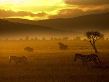 Plains Information, Facts, and Photos | National Geographic