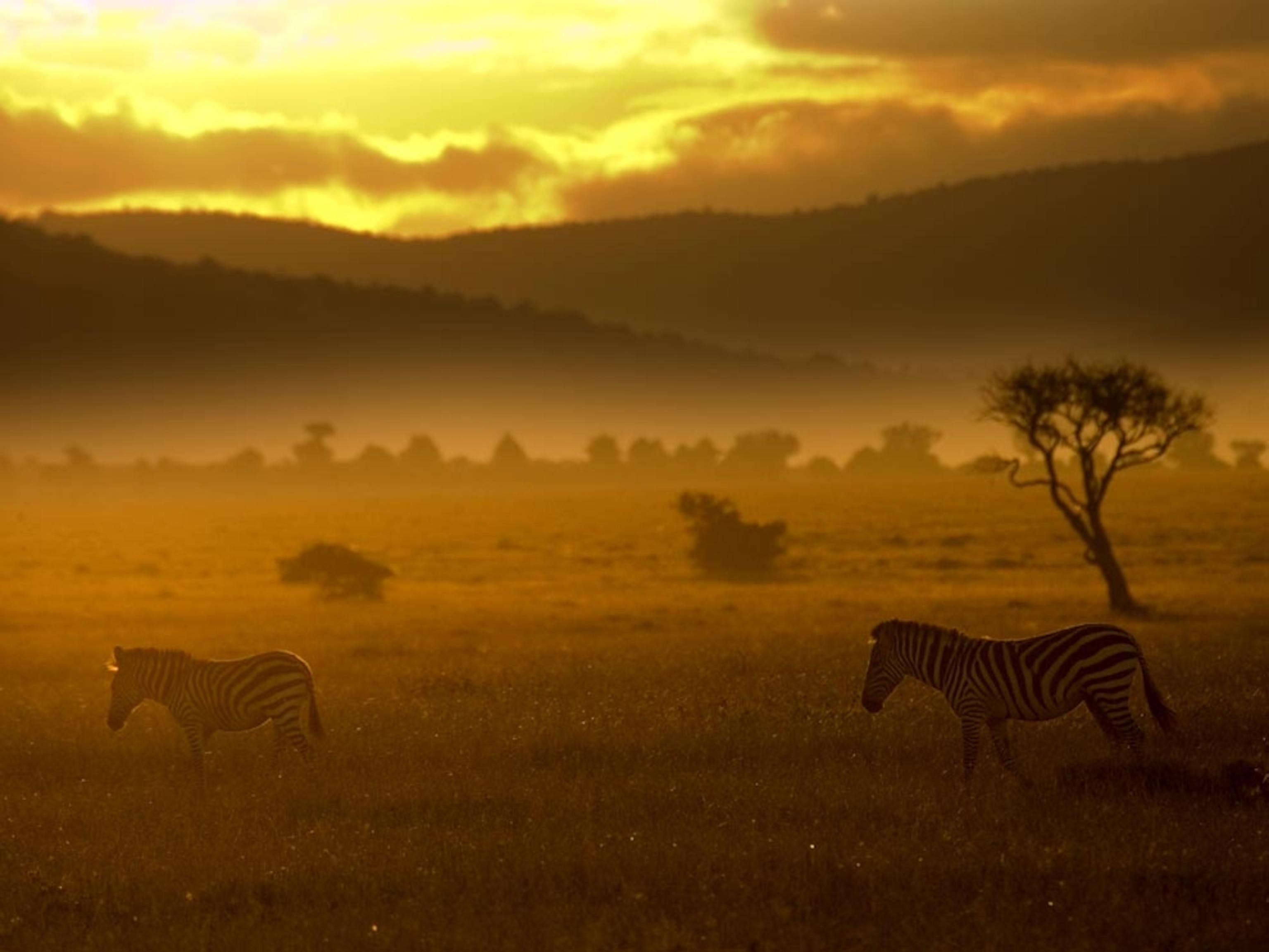 Plains Information, Facts, and Photos | National Geographic