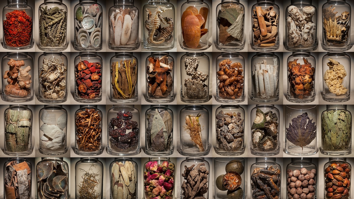 Longevity | National Geographic