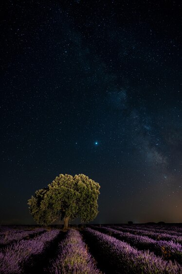 In rare sky show, Jupiter and Saturn will nearly 'touch' on the winter ...