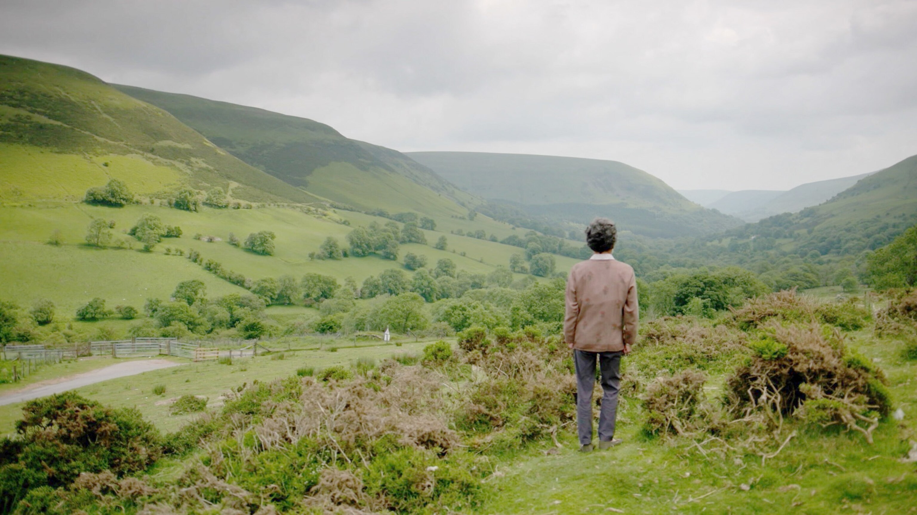 Werner Herzog: ‘The world reveals itself to those who travel on foot’