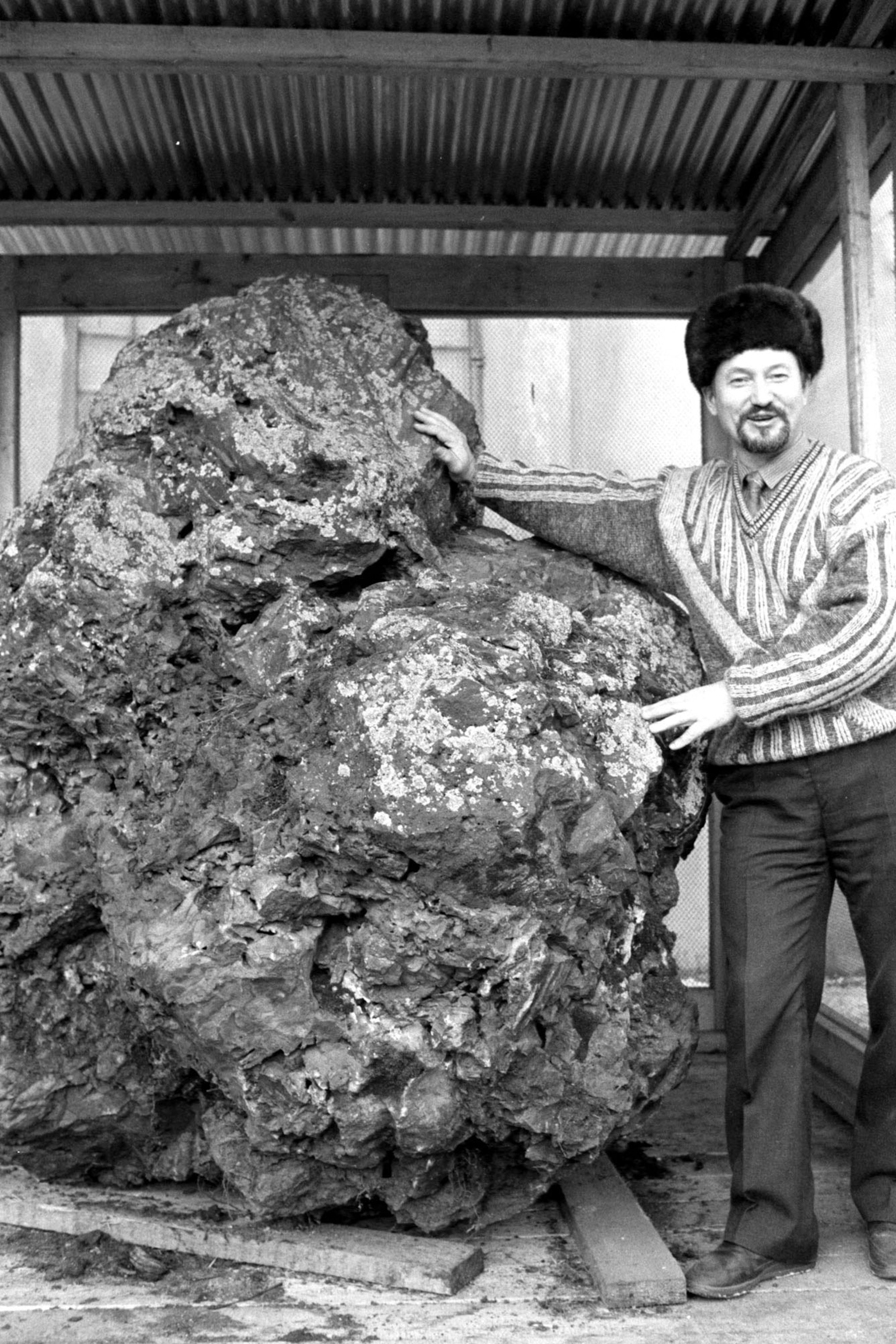What Meteorites Mean for Science, Culture, and Kitsch