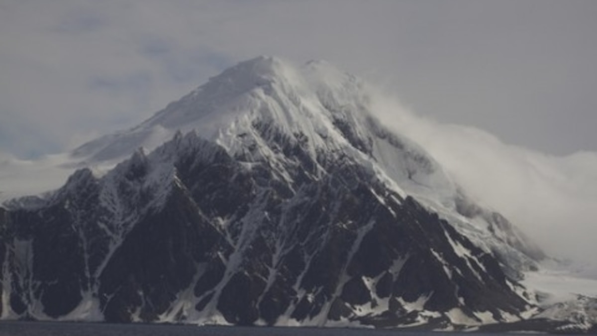 Bus2Antarctica: Wild Point Wild | National Geographic