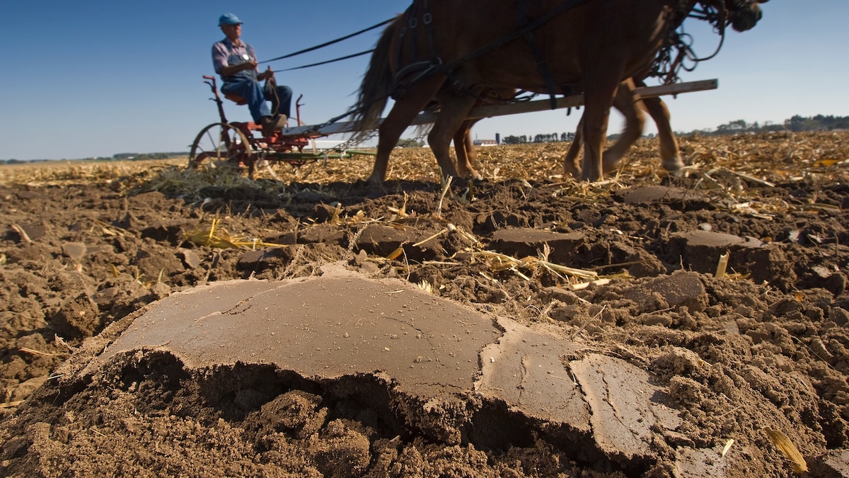 Do We Treat Our Soil Like Dirt? | National Geographic