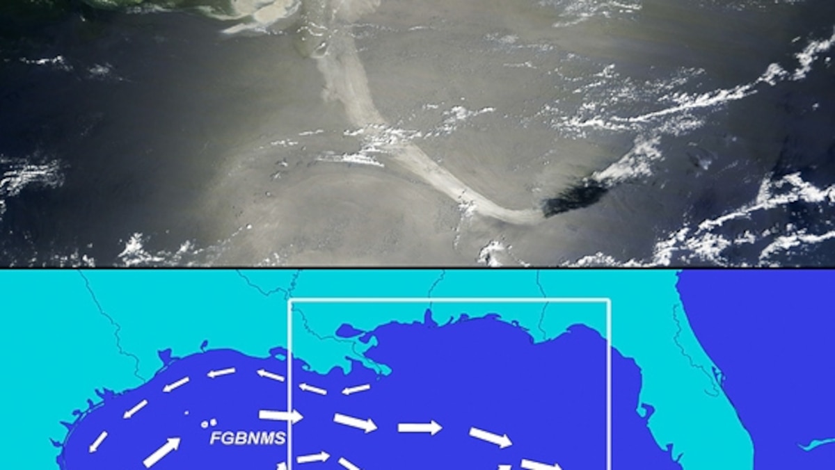 Gulf Oil Is in the Loop Current, Experts Say | National Geographic