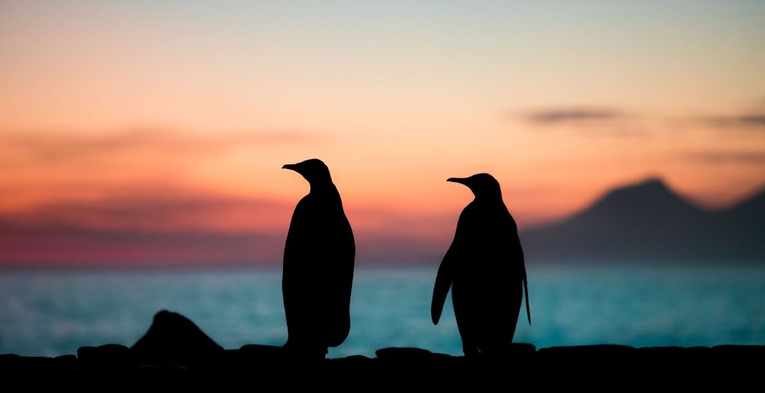 Most Beautiful Sunsets In The World National Geographic