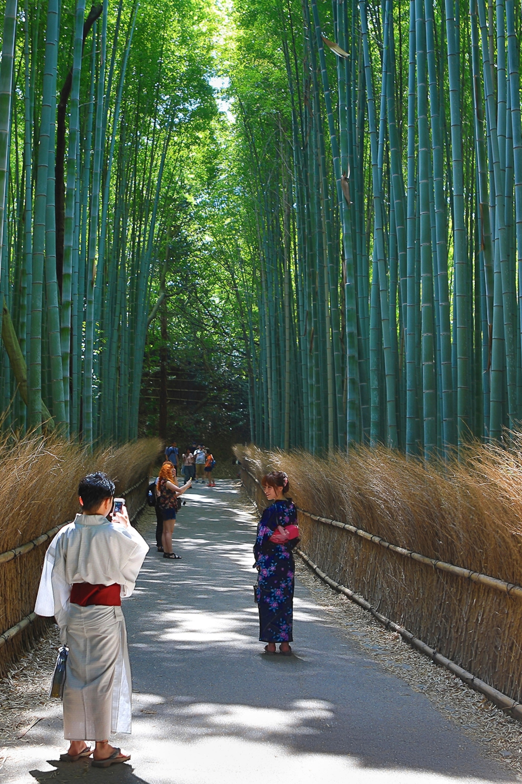 The ultimate guide to Kansai by rail