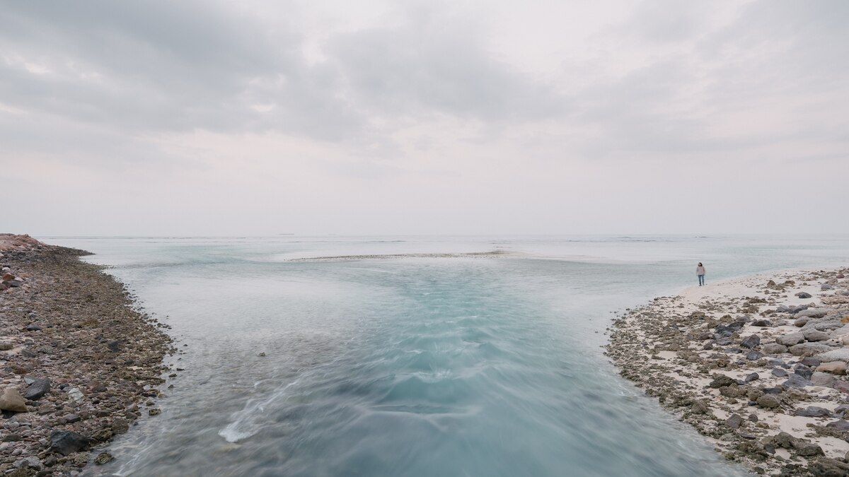 Island of Sir Bani Yas in the United Arab Emirates | National Geographic