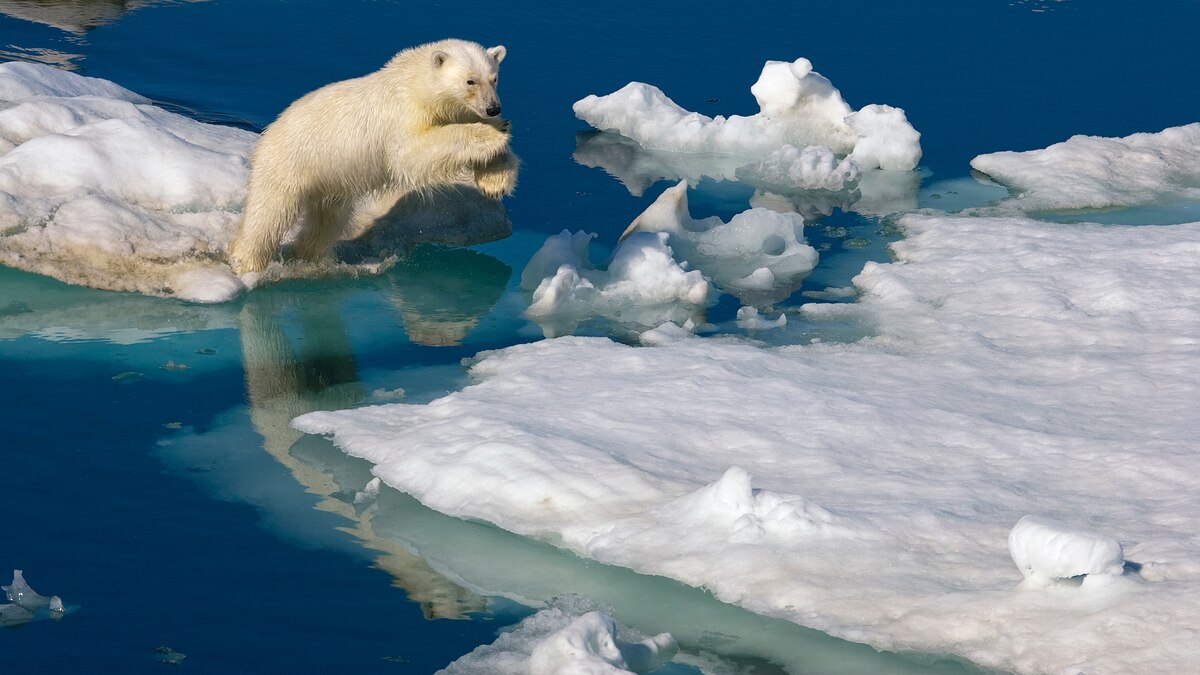 Ice Paradise | National Geographic