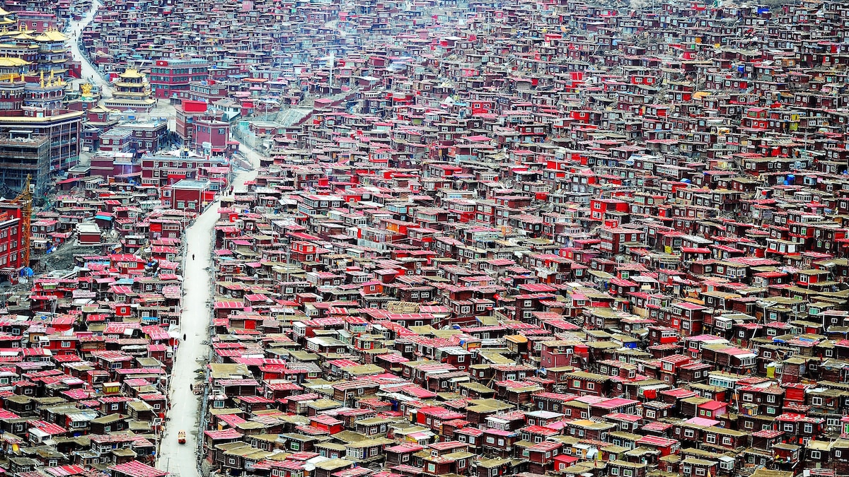 The Best Photos From Your Shot: Gazing Up and Hanging Out | National ...