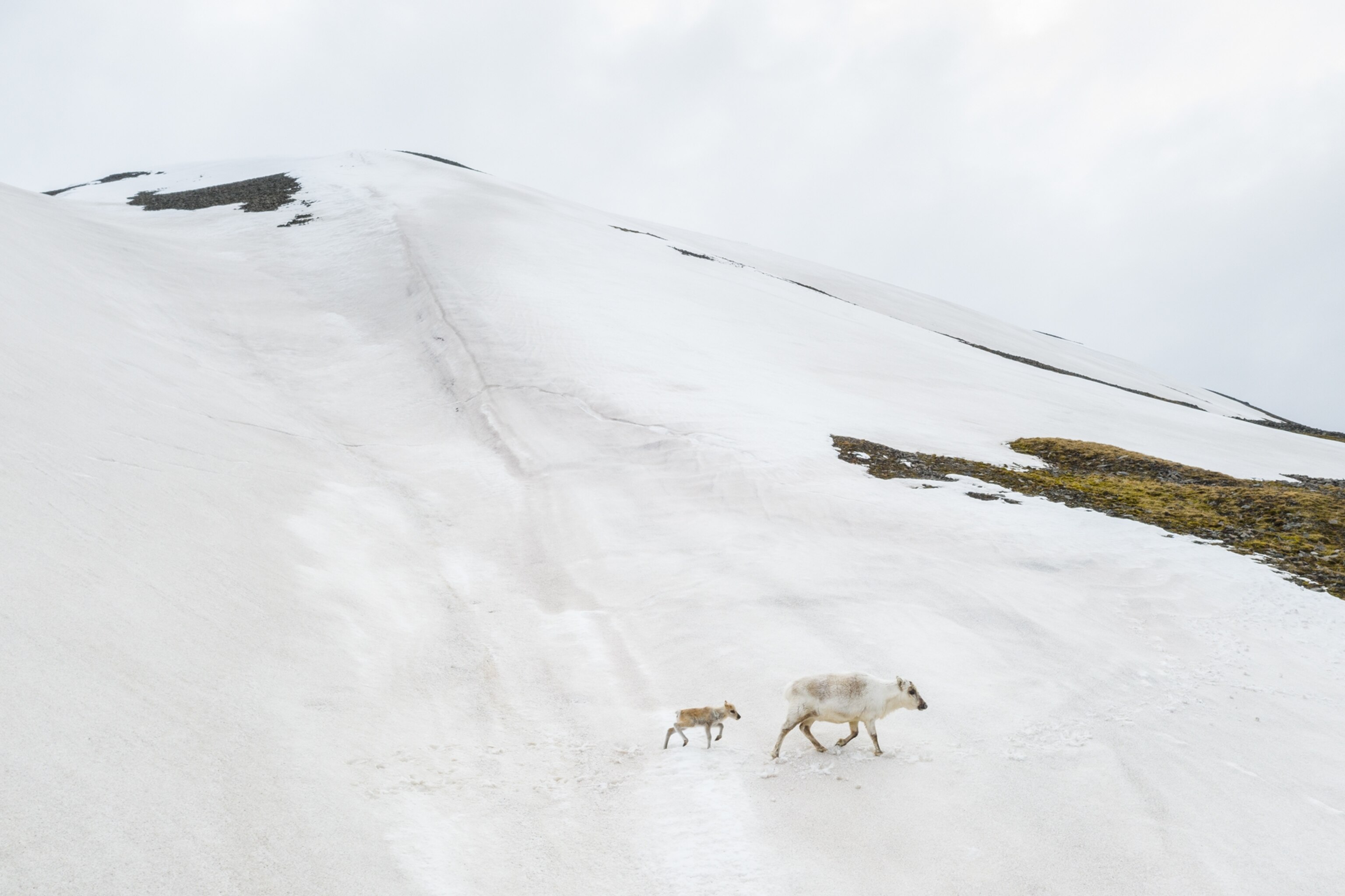 See what a year looks like in Svalbard, Norway, the fastest-warming ...