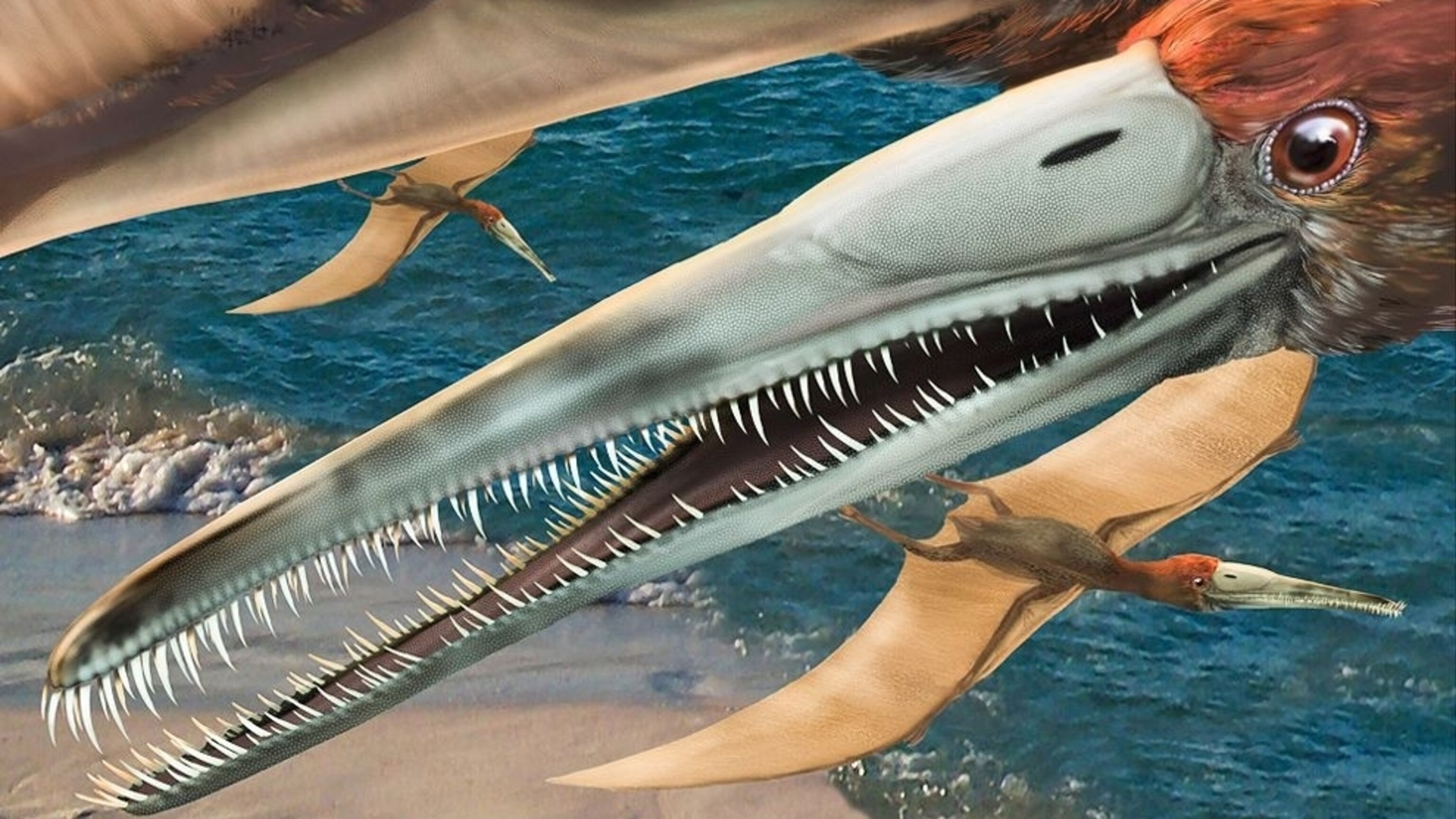 Pterodactyl Facts A Prehistoric Flying Reptile