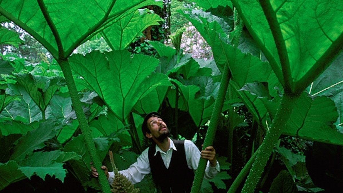 Get Some Perspective -- Photo Tips -- National Geographic | National ...