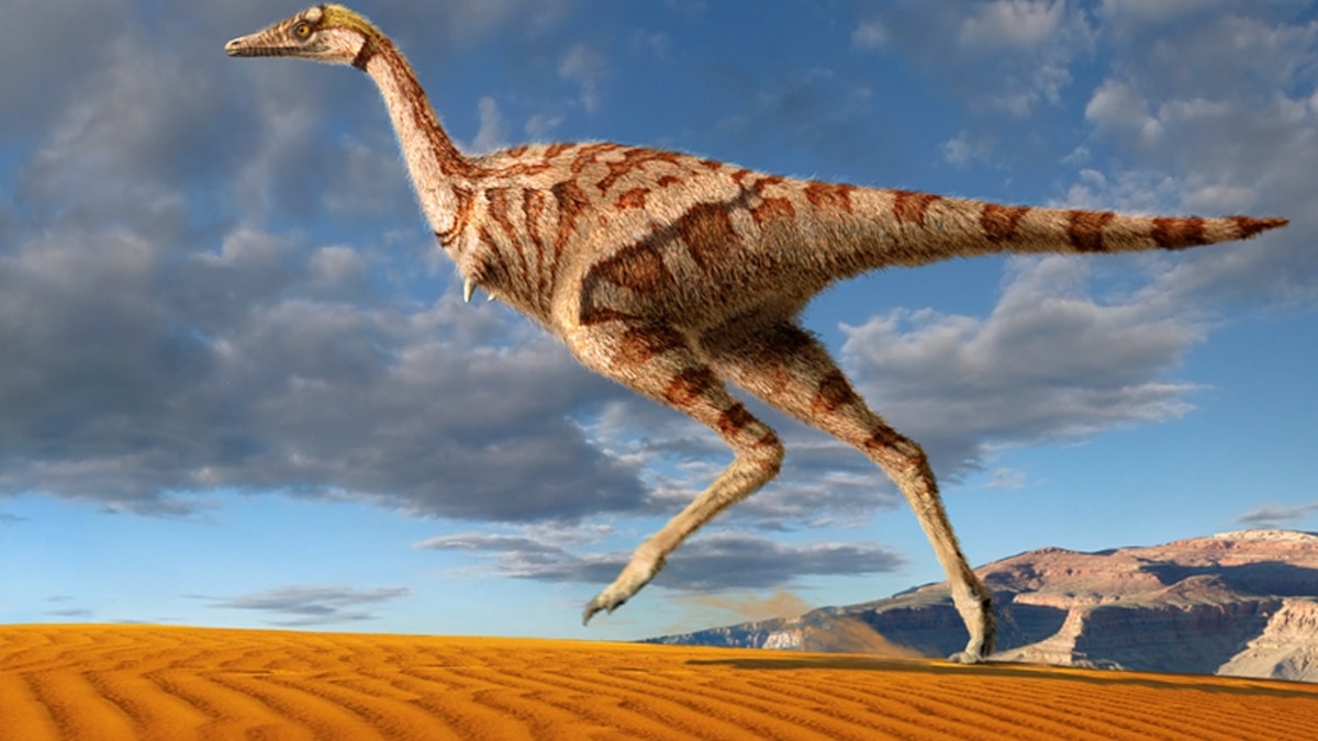 First One-Fingered Dinosaur Found—Dug for Bugs? | National Geographic