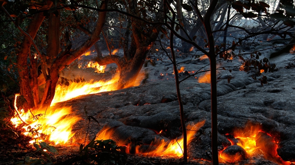 Pictures: Creeping Lava Consumes Home | National Geographic