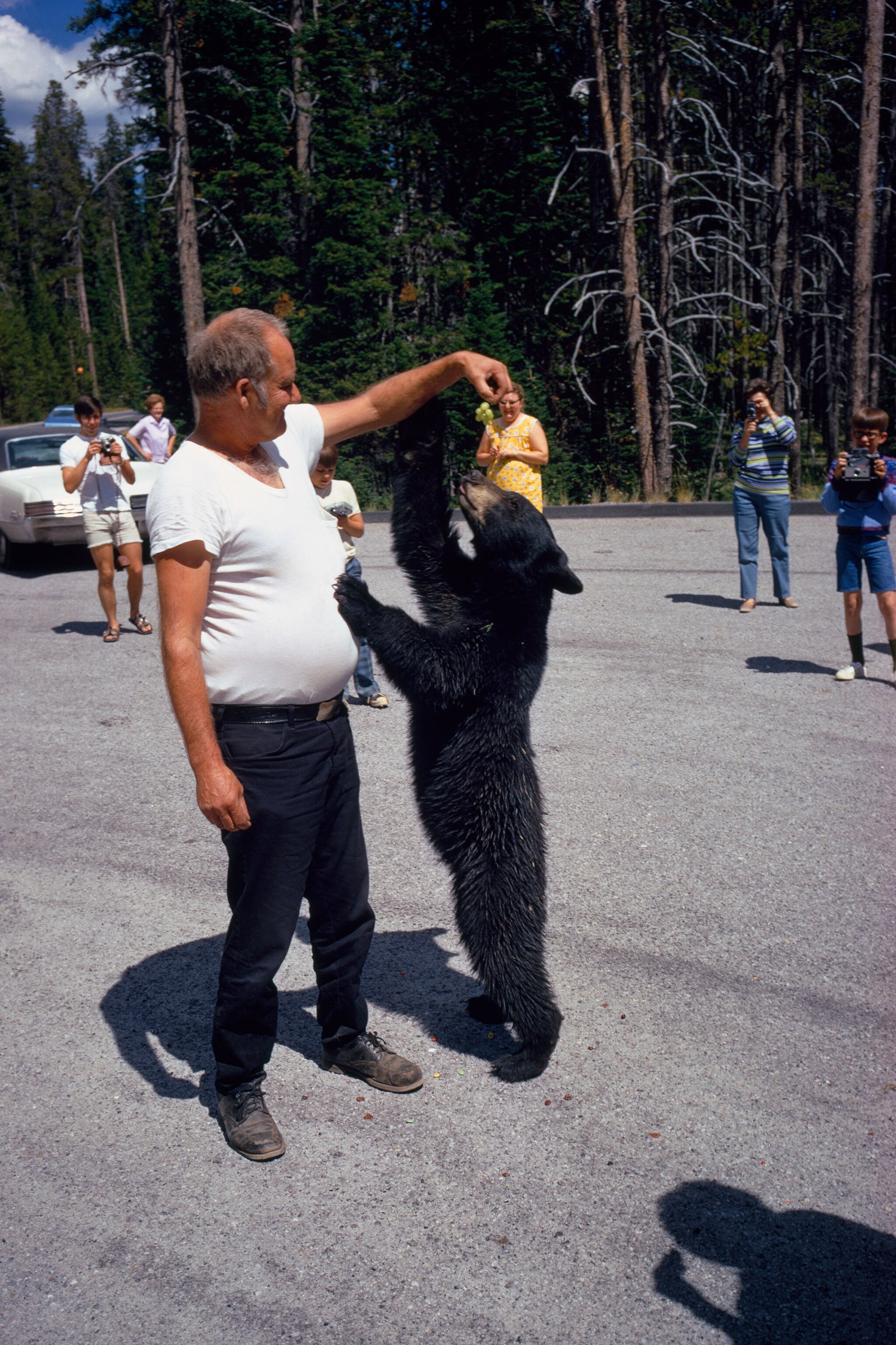 Vintage U.S. National Park Service photos teach bear safety by showing ...