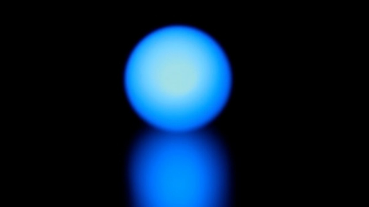 The hidden light: My new brain column in Discover | National Geographic