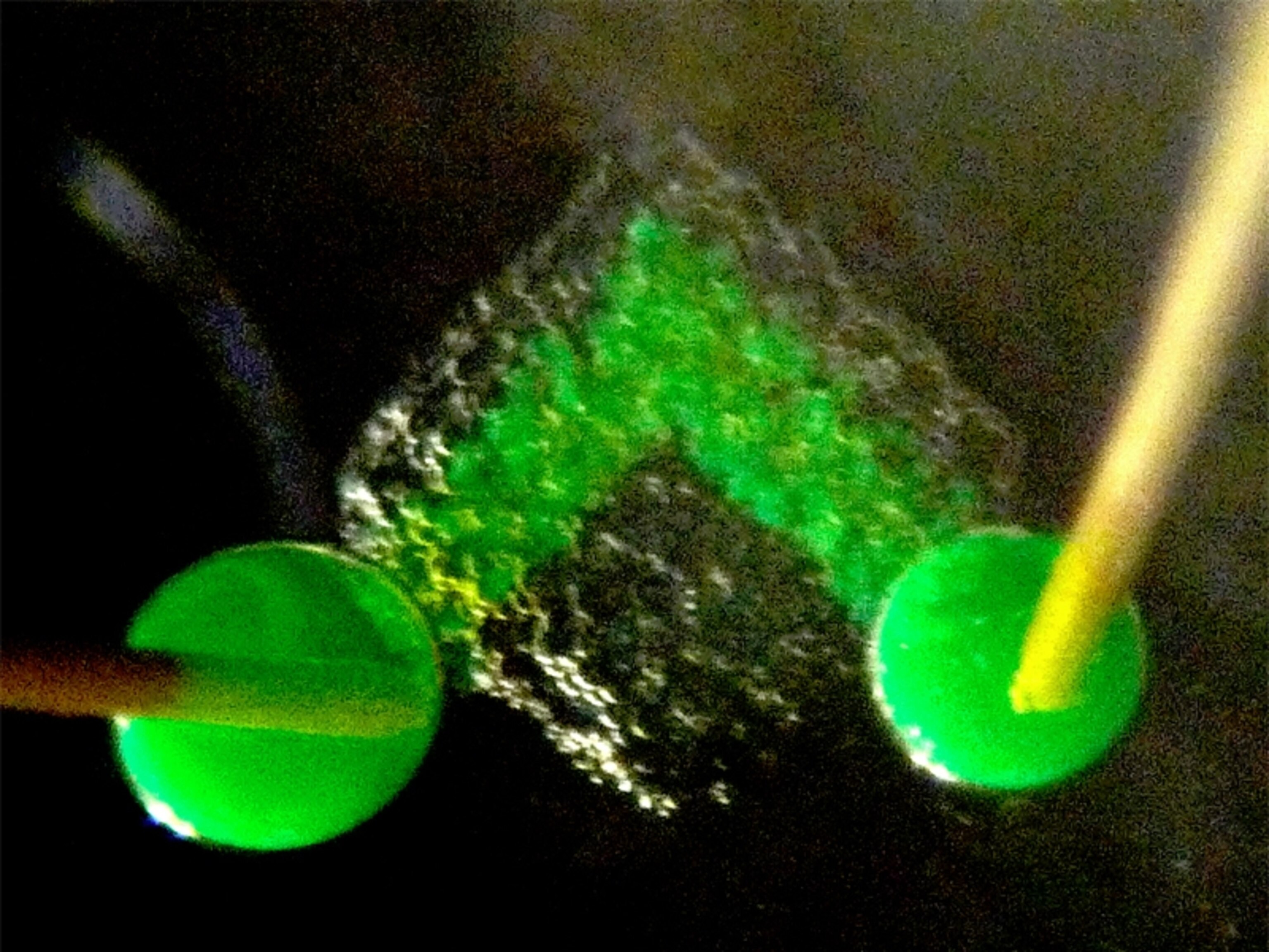3-D Printer Makes Synthetic Tissues from Watery Drops