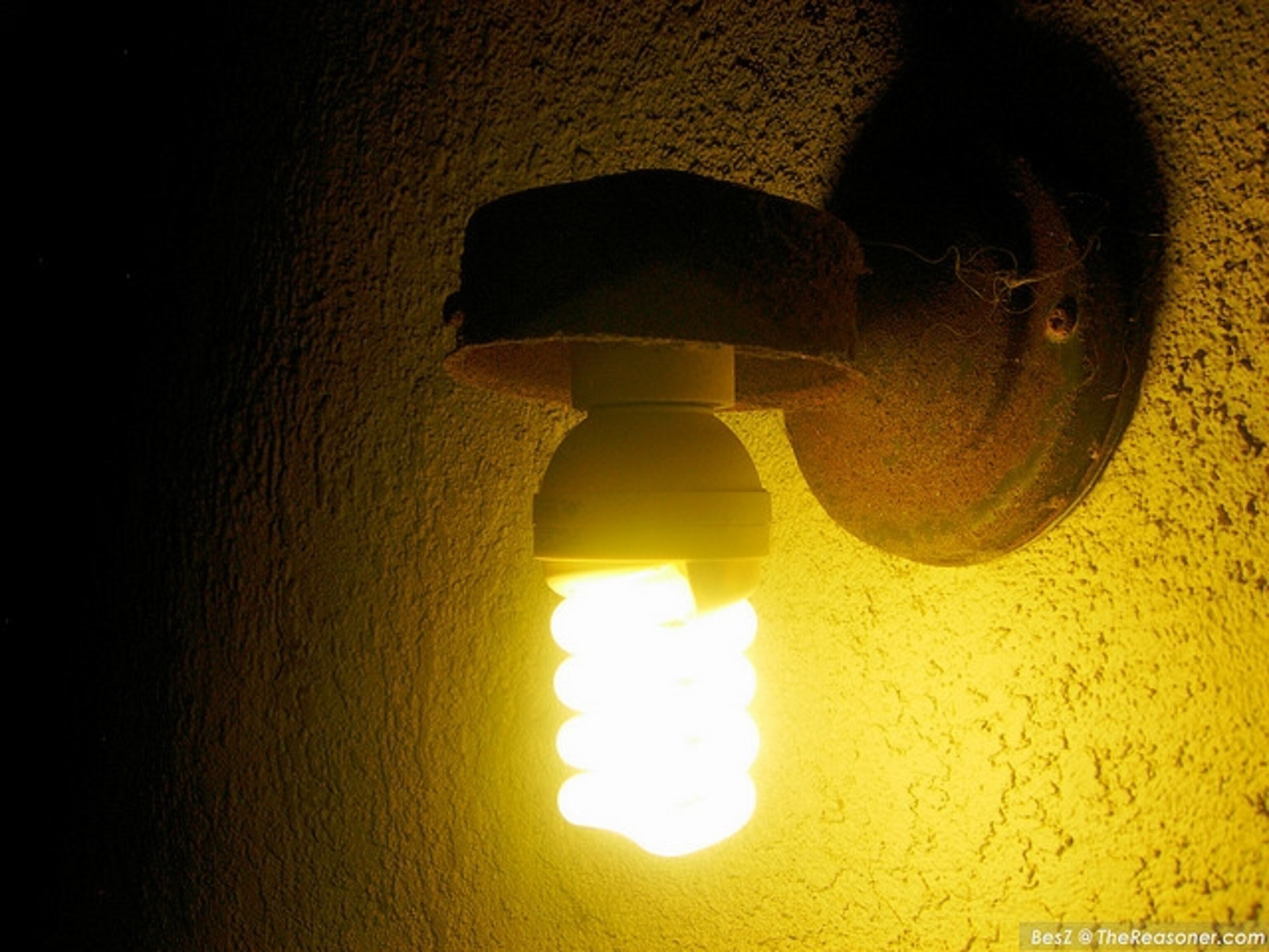 An Unloved Light Bulb Shows Signs of Burning Out | National Geographic