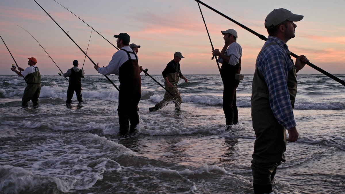 Once Decimated U.S. Fish Stocks Enjoy Big Bounce Back | National Geographic