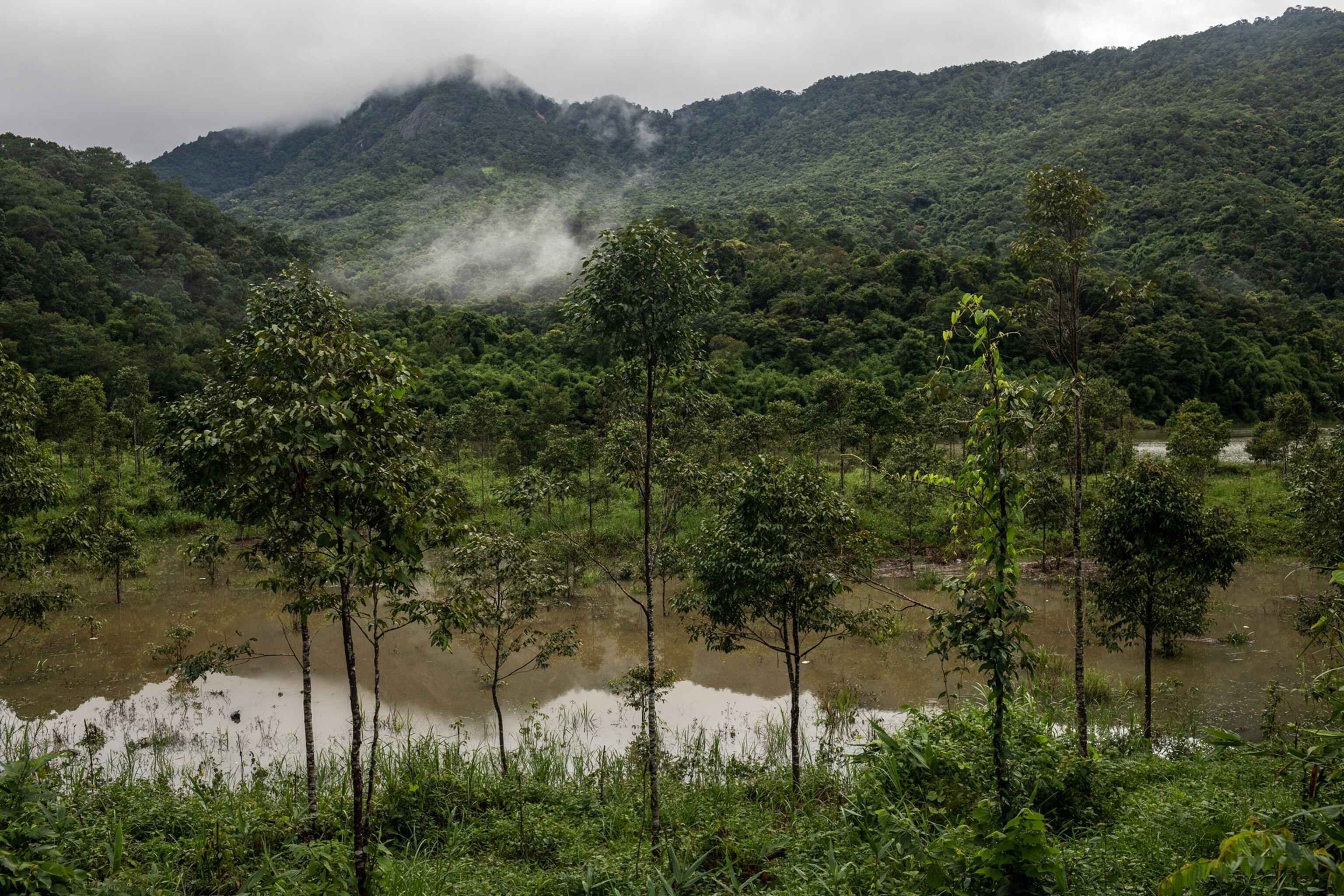 Scientists are unraveling the mysteries of pain