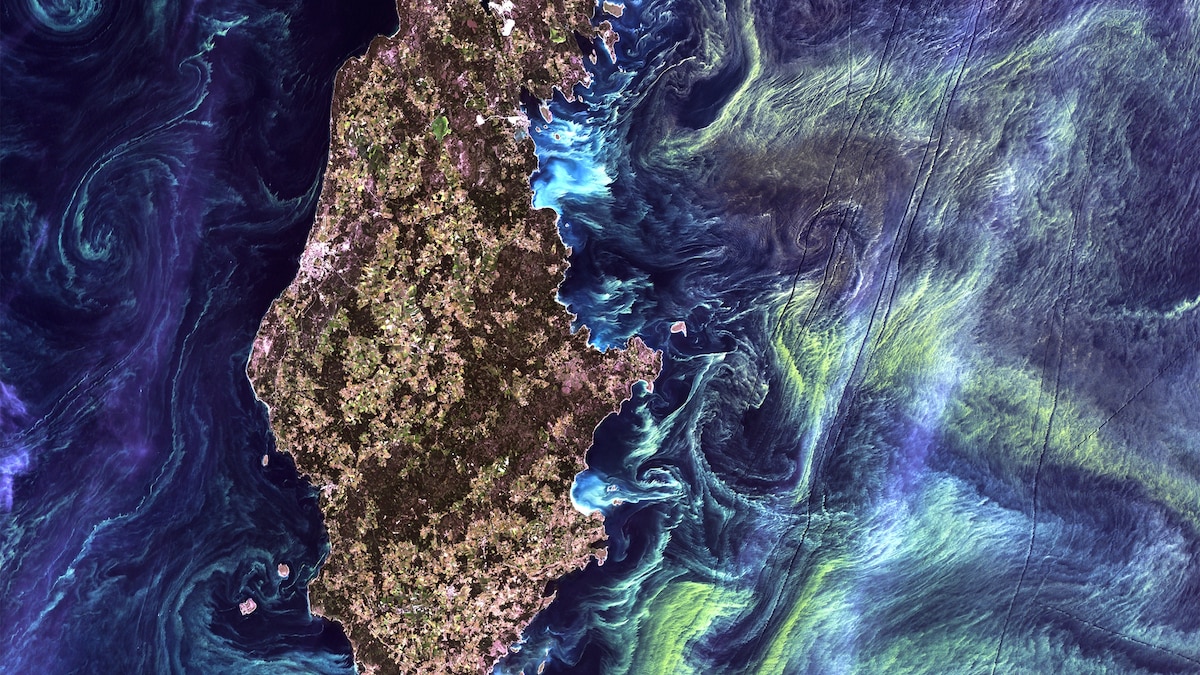 New Satellite Pictures: "Magnificent" Views of Earth | National Geographic