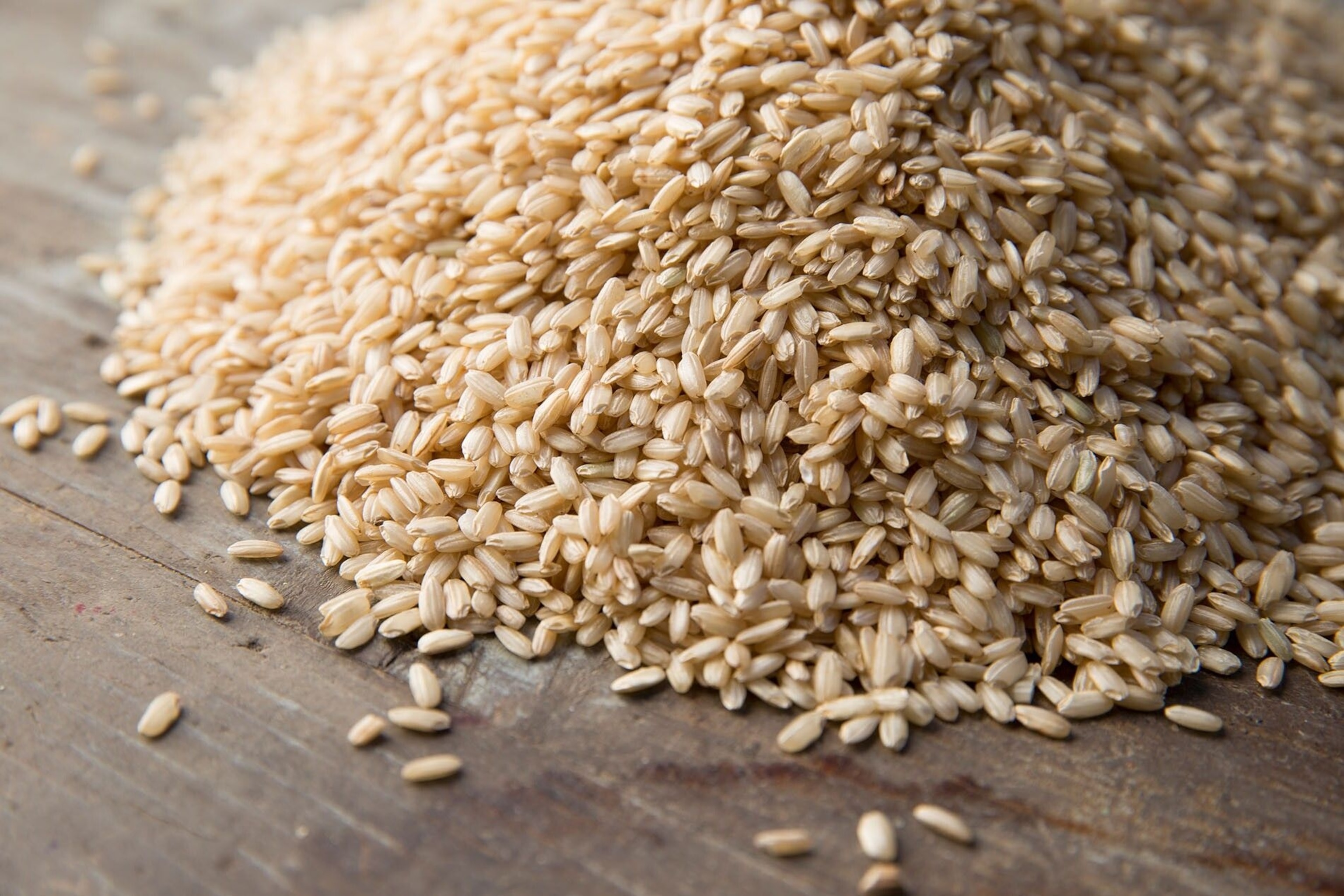 Meet the maker: the Lombardian rice farmer preserving Italian traditions