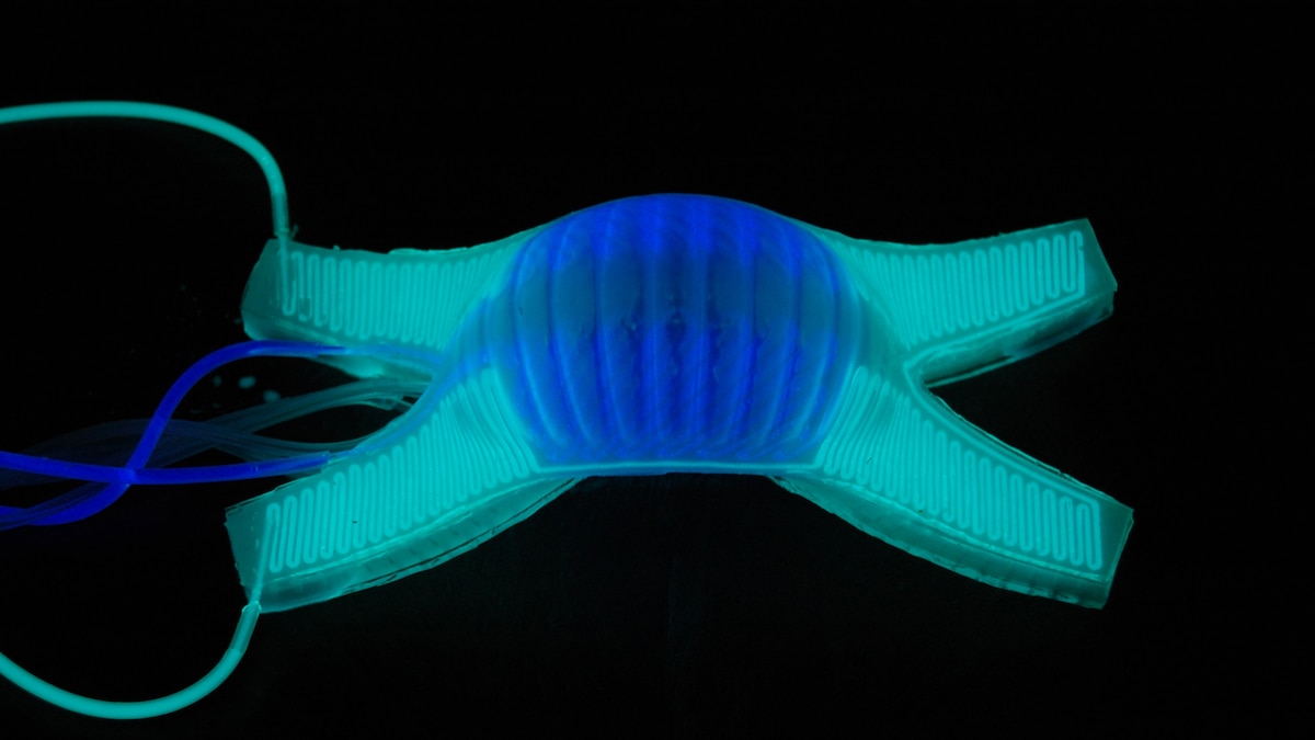 Color-Changing Rubber Robot Could Aid Animal Study | National Geographic