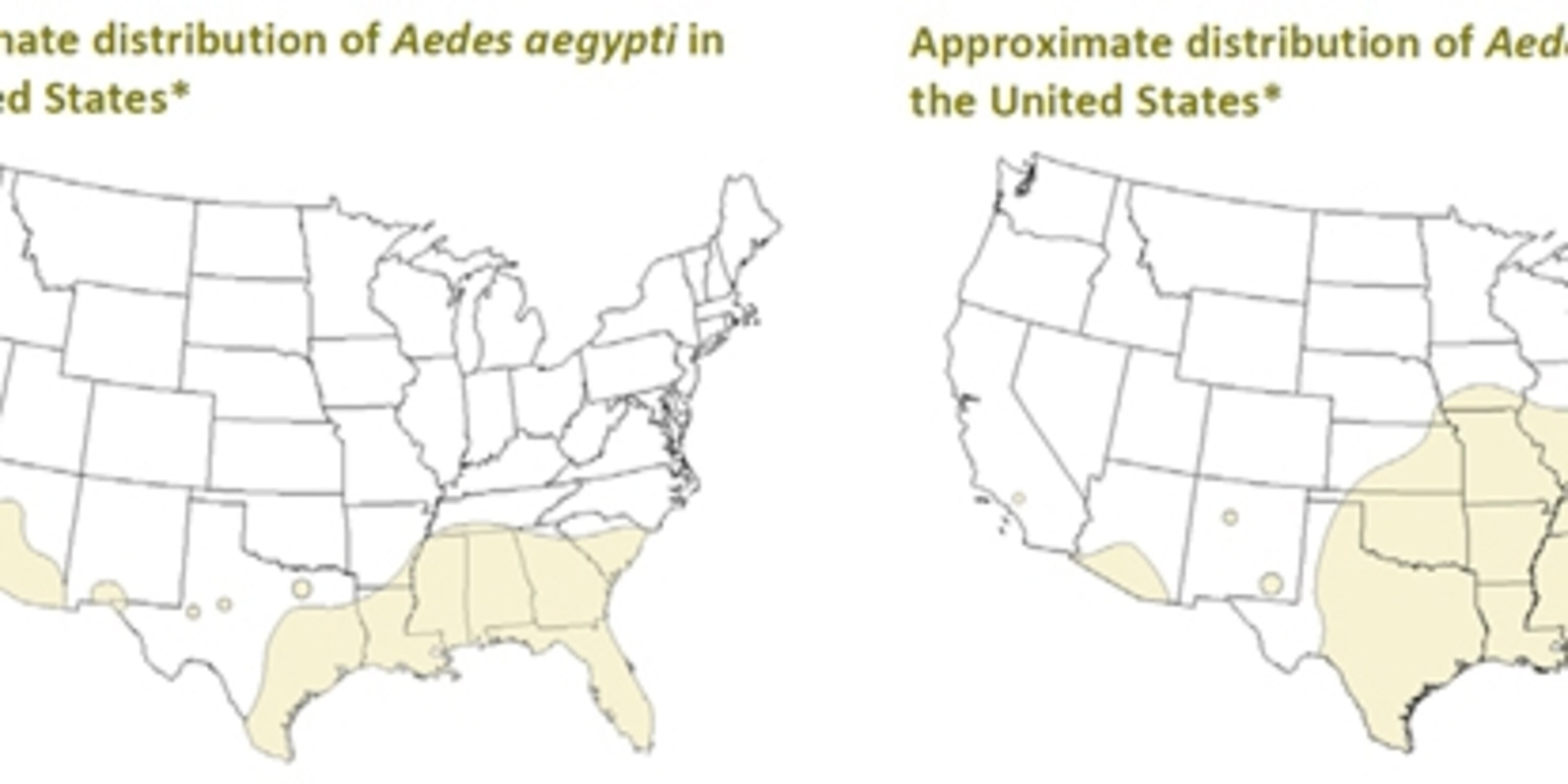 An Epidemic 14 Years Ago Shows How Zika Could Unfold in the US