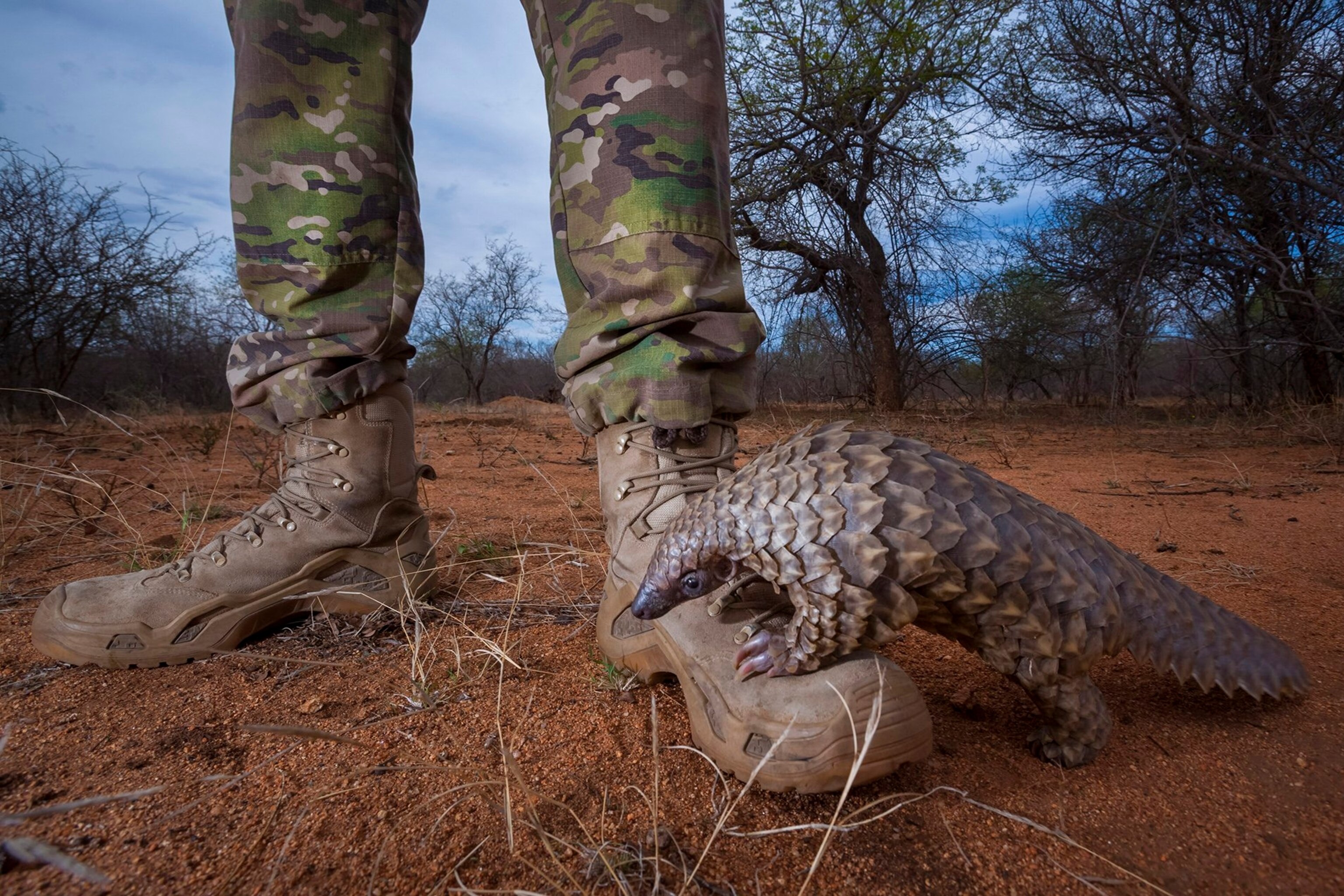 Your best photos of the week, February 22, 2019